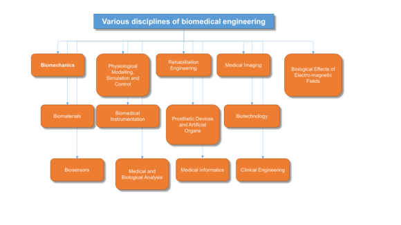Program Overview - Biomedical Engineering | BUET