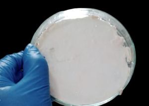 Tissue Engineered Graft - Biomedical Engineering | BUET